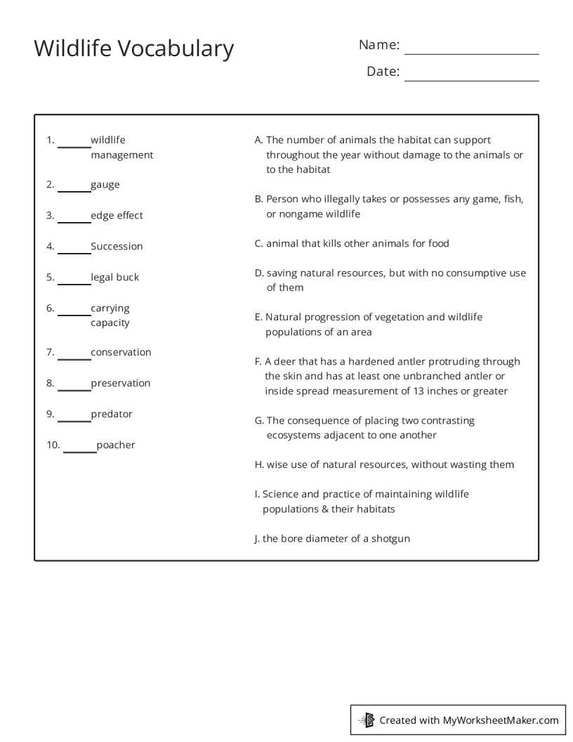 Wildlife Vocabulary - My Worksheet Maker: Create Your Own Worksheets