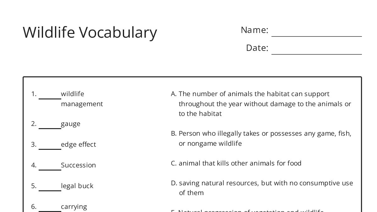 Wildlife Vocabulary - My Worksheet Maker: Create Your Own Worksheets