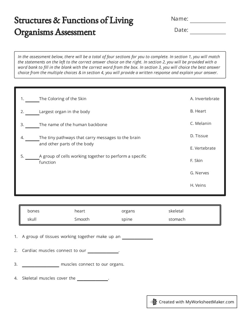 Structures & Functions of Living Organisms Assessment - My Worksheet ...
