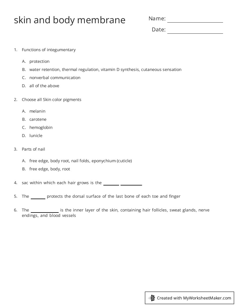 skin and body membrane - My Worksheet Maker: Create Your Own Worksheets