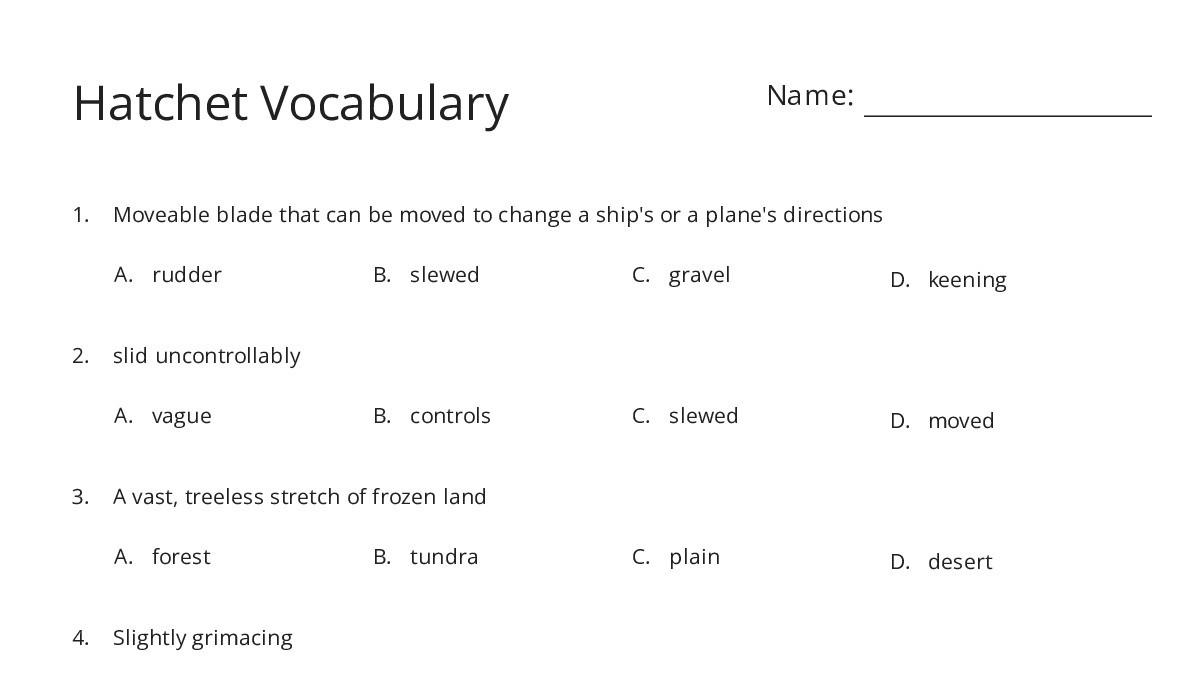 Hatchet Vocabulary - My Worksheet Maker: Create Your Own Worksheets