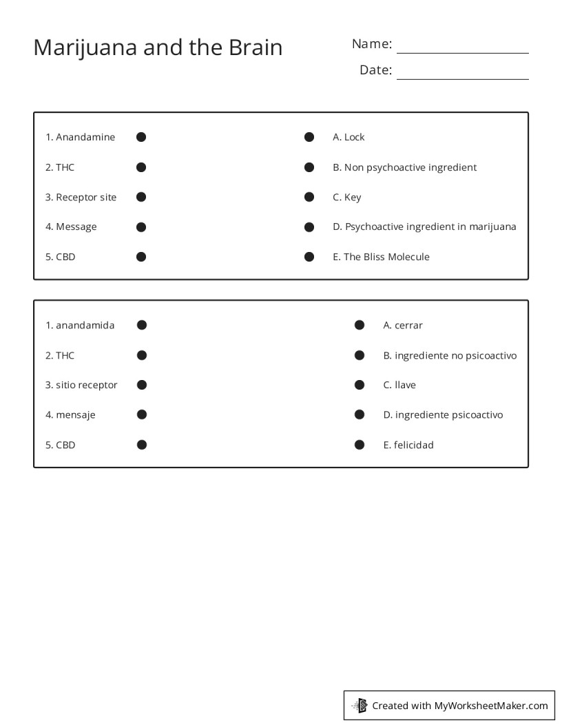Marijuana and the Brain - My Worksheet Maker: Create Your Own Worksheets