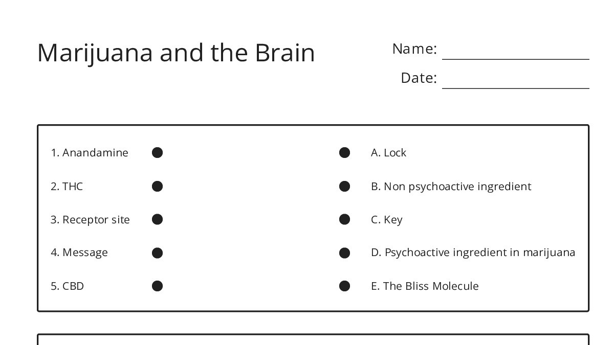 Marijuana and the Brain - My Worksheet Maker: Create Your Own Worksheets