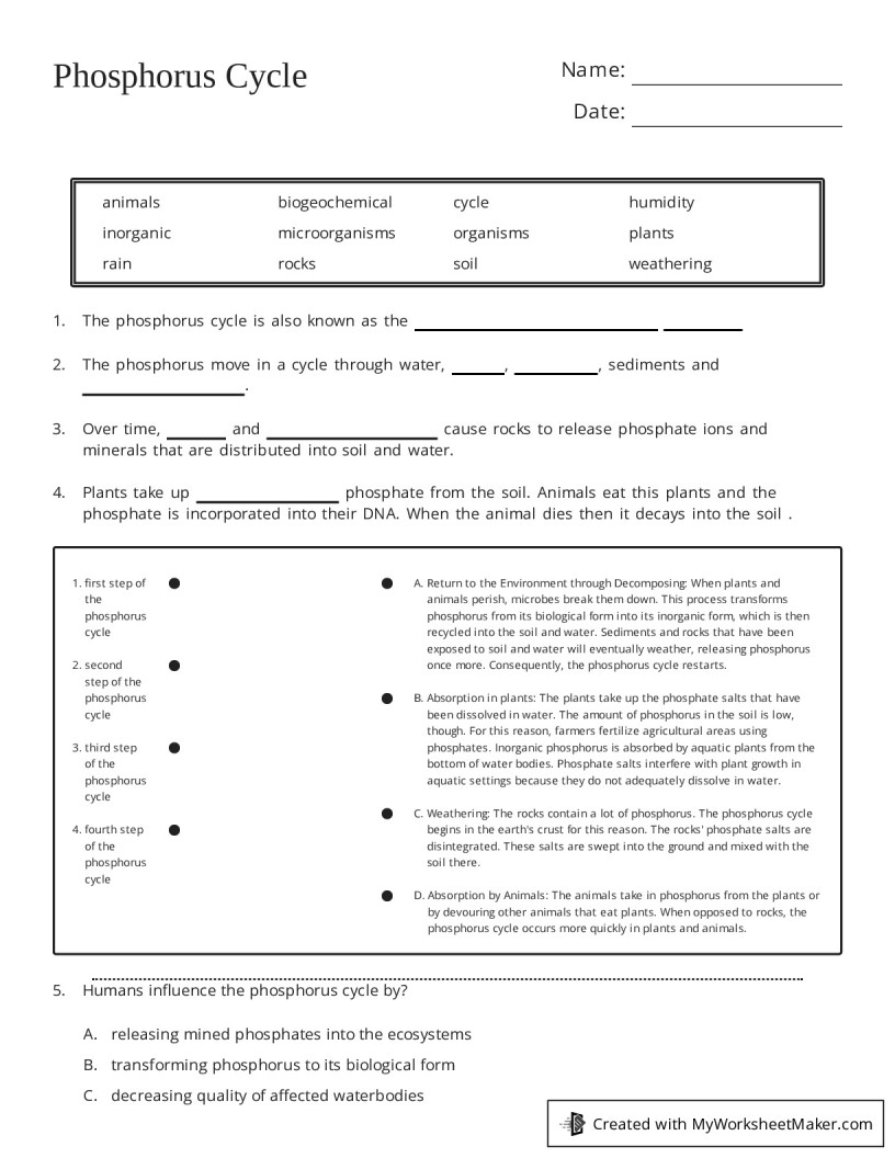 Phosphorus Cycle - My Worksheet Maker: Create Your Own Worksheets