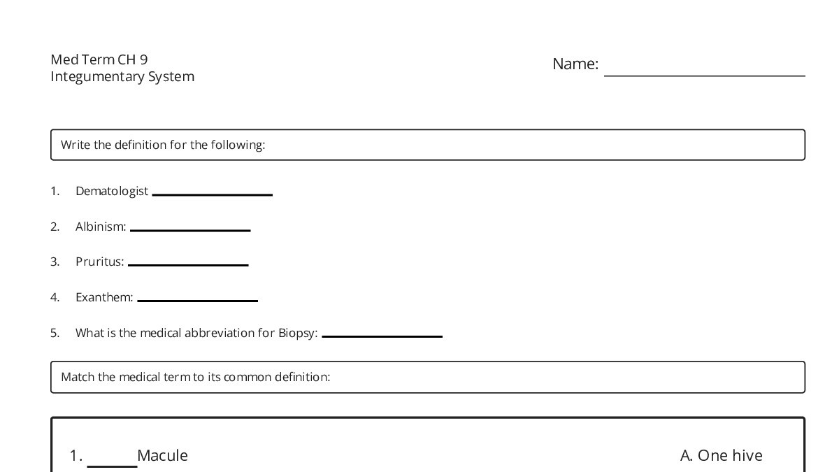 Med Term CH 9 Integumentary System - My Worksheet Maker: Create Your ...
