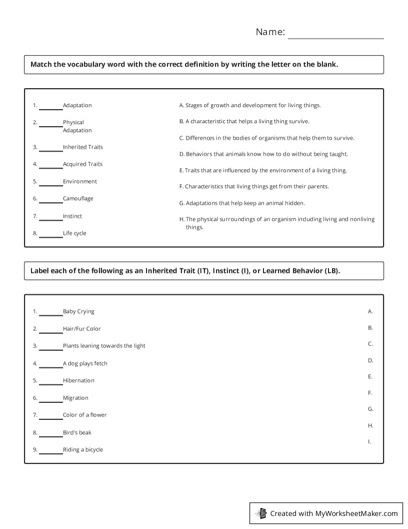 My Worksheet Title - My Worksheet Maker: Create Your Own Worksheets