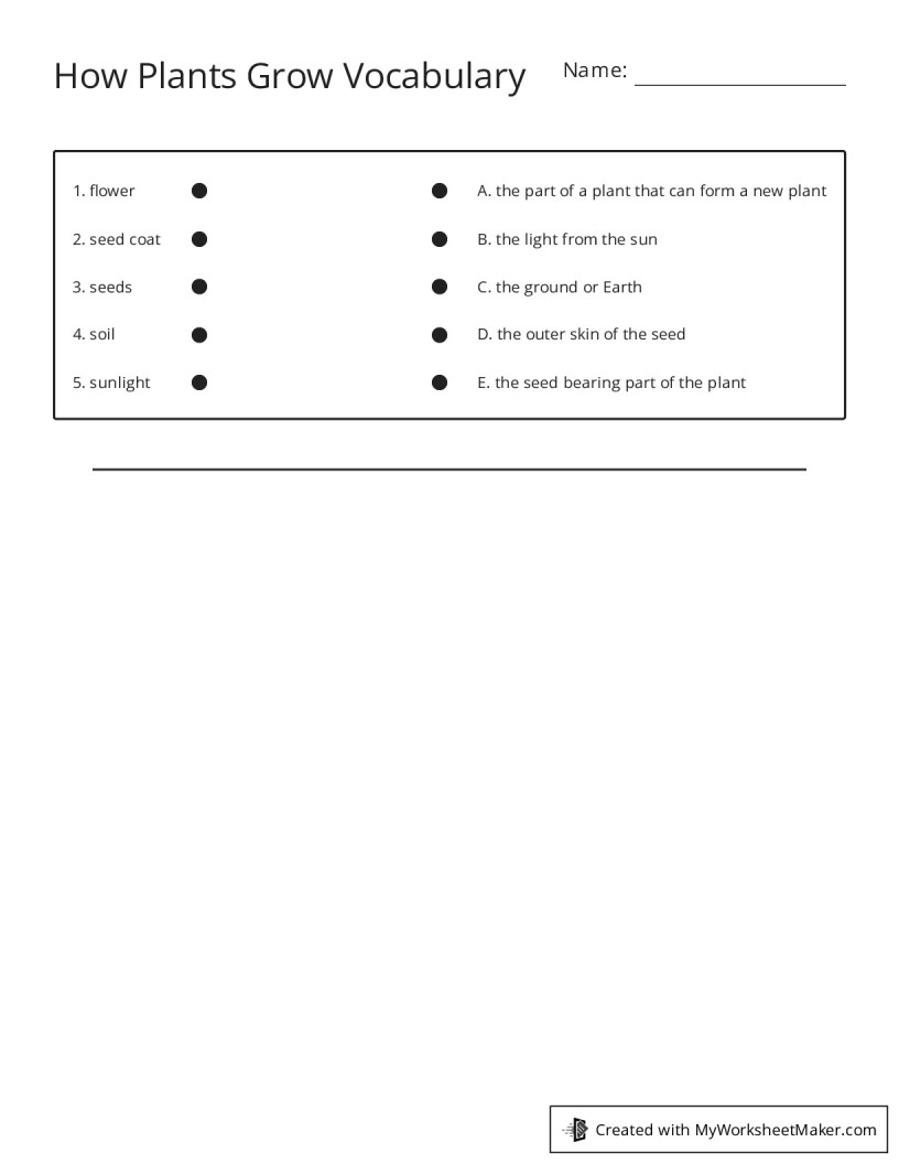 How Plants Grow Vocabulary - My Worksheet Maker: Create Your Own Worksheets