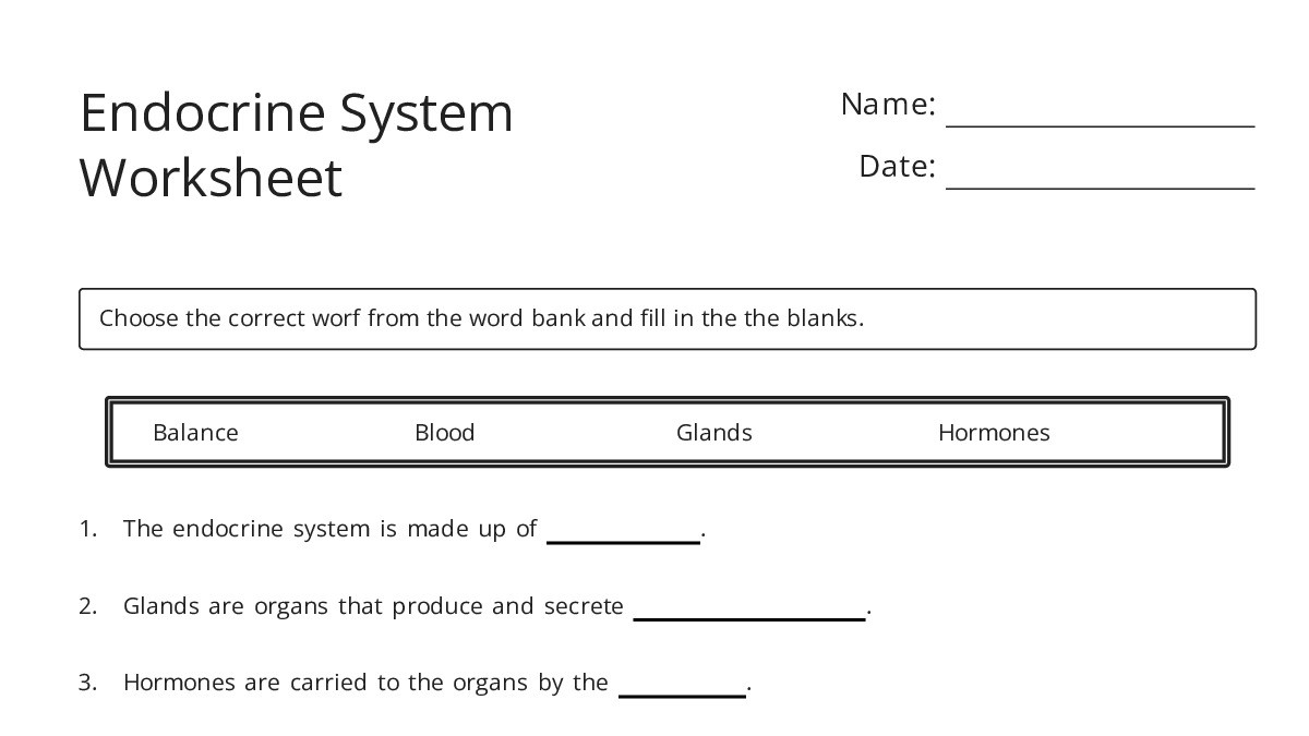 Endocrine System Worksheet - My Worksheet Maker: Create Your Own Worksheets
