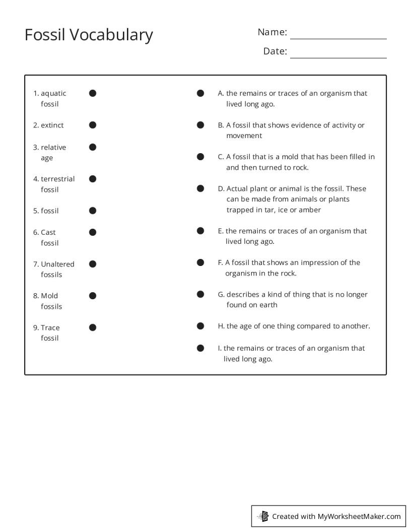 Fossil Vocabulary - My Worksheet Maker: Create Your Own Worksheets