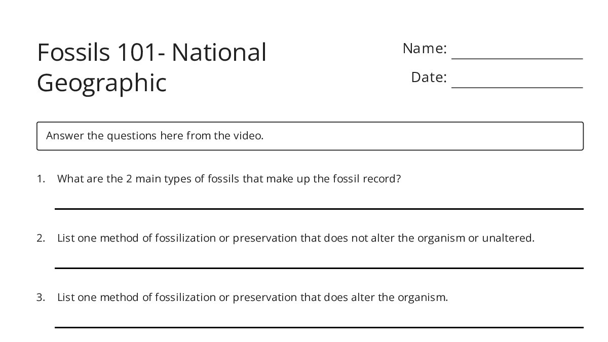 Fossils 101- National Geographic - My Worksheet Maker: Create Your Own ...