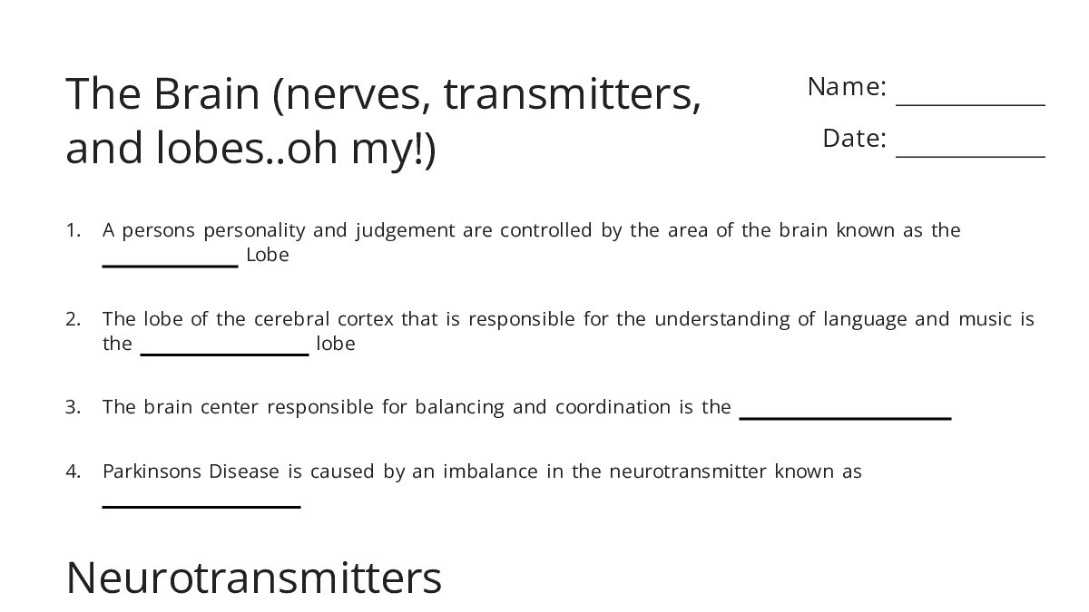 The Brain (nerves, transmitters, and lobes..oh my!) - My Worksheet ...