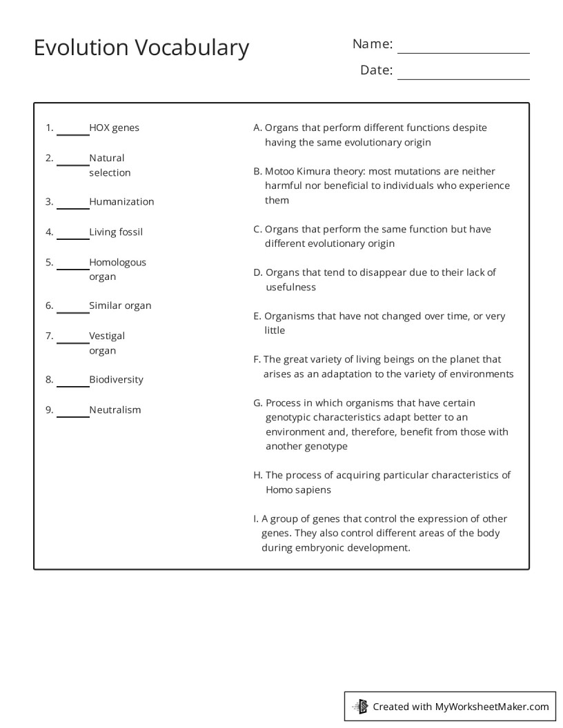 Evolution Vocabulary - My Worksheet Maker: Create Your Own Worksheets