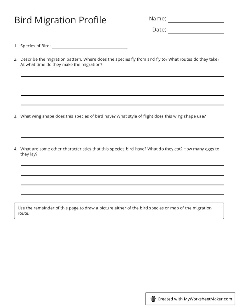 Bird Migration Profile - My Worksheet Maker: Create Your Own Worksheets