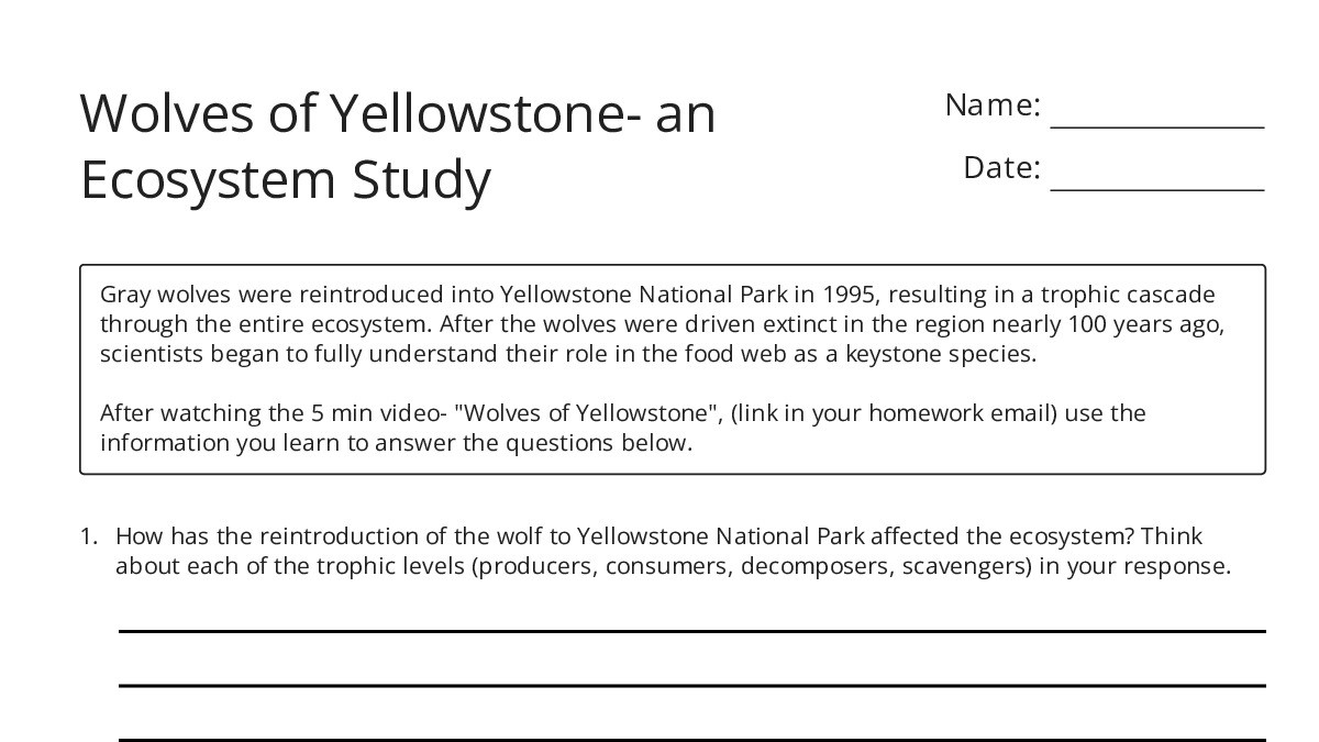 Wolves of Yellowstone- an Ecosystem Study - My Worksheet Maker: Create ...