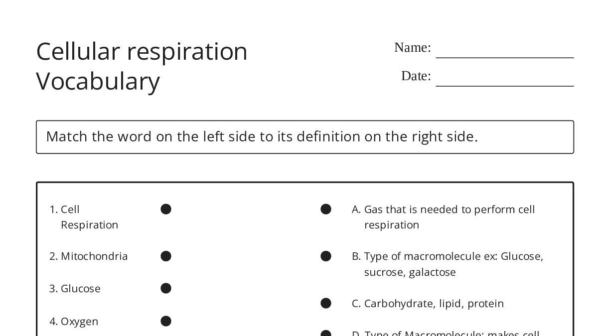 Cellular respiration Vocabulary - My Worksheet Maker: Create Your Own ...