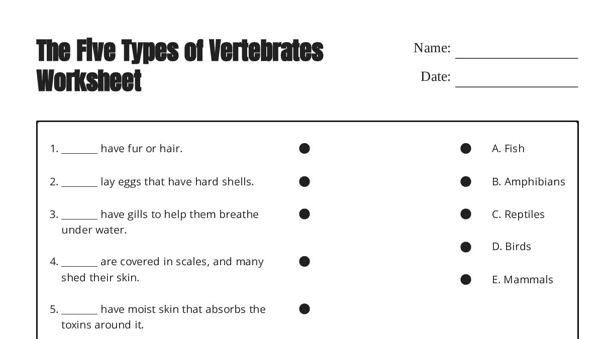 The Five Types of Vertebrates Worksheet - My Worksheet Maker: Create ...