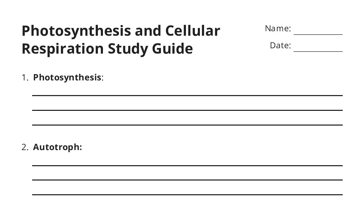 Photosynthesis and Cellular Respiration Study Guide - My Worksheet ...
