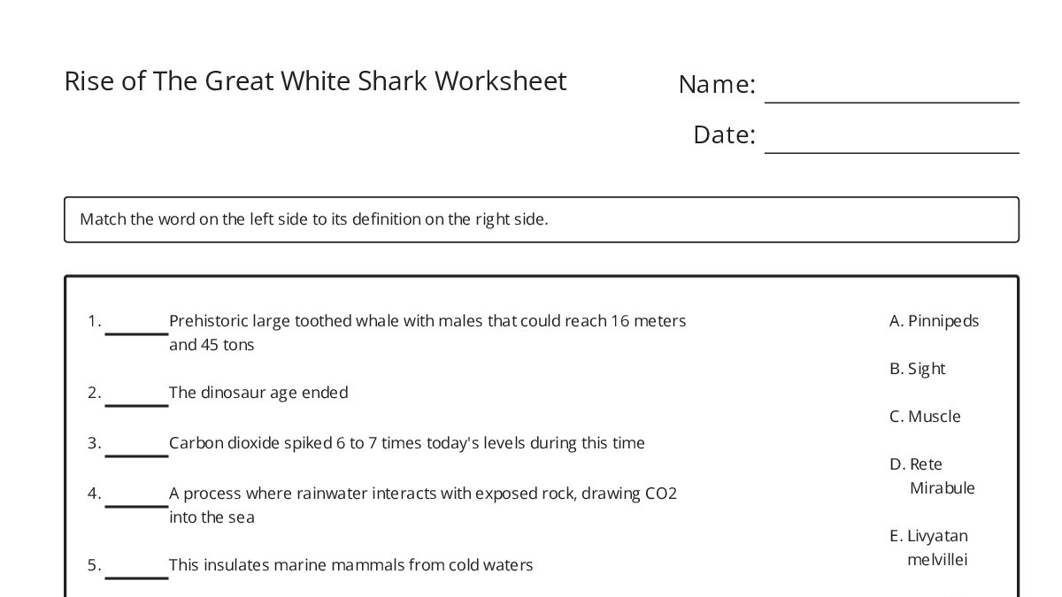 Rise of The Great White Shark Worksheet - My Worksheet Maker: Create ...