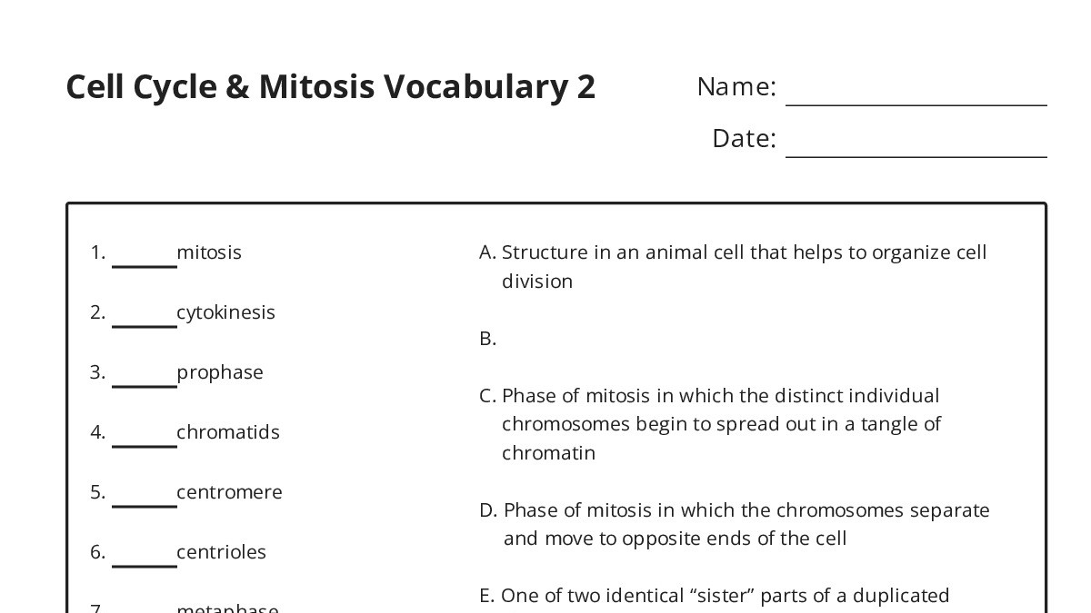 Cell Cycle & Mitosis Vocabulary 2 - My Worksheet Maker: Create Your Own ...