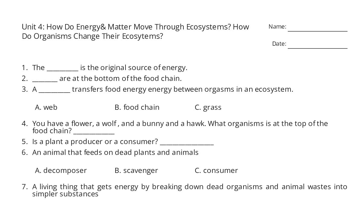 Unit 4: How Do Energy& Matter Move Through Ecosystems? How Do Organisms ...