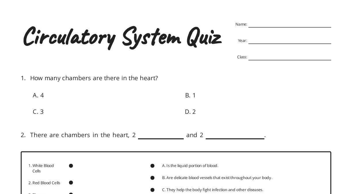 Circulatory System Quiz﻿ - My Worksheet Maker: Create Your Own Worksheets