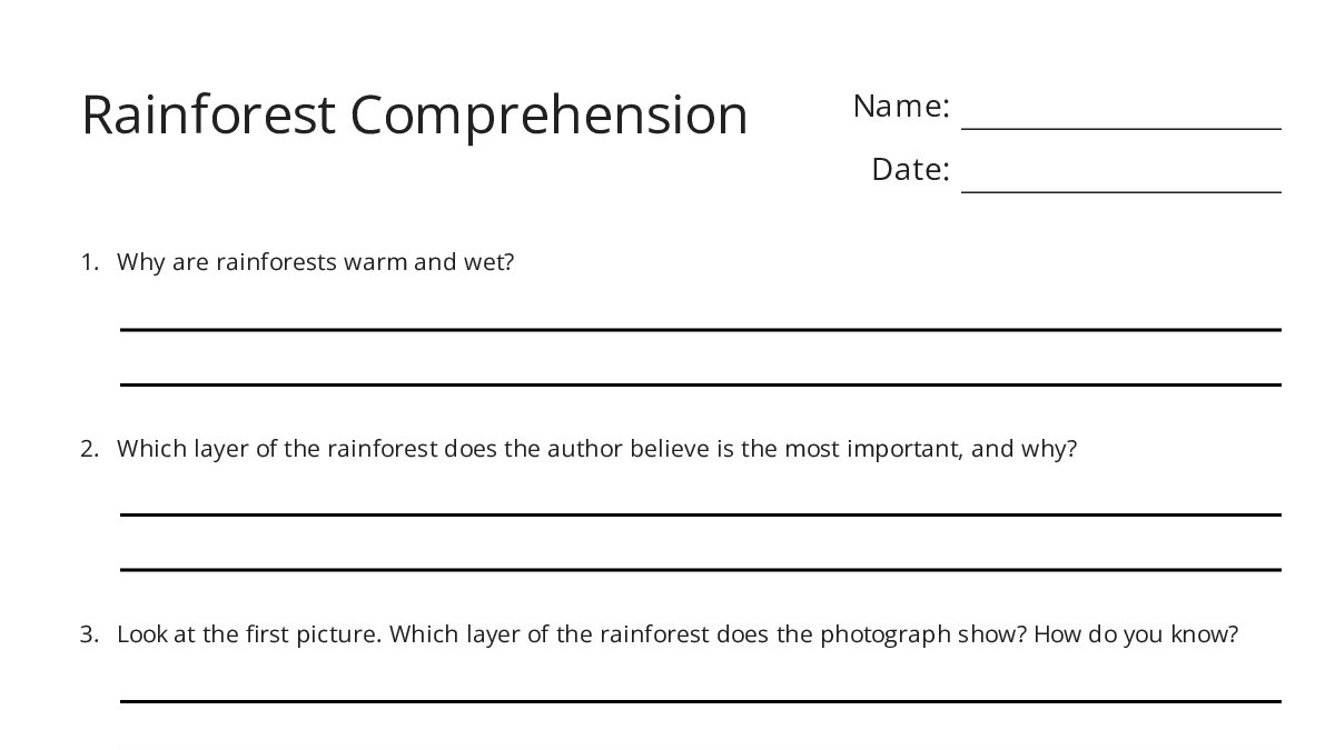 Rainforest Comprehension - My Worksheet Maker: Create Your Own Worksheets
