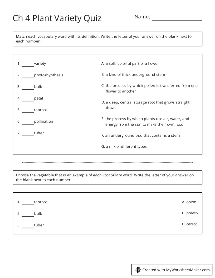Ch 4 Plant Variety Quiz - My Worksheet Maker: Create Your Own Worksheets