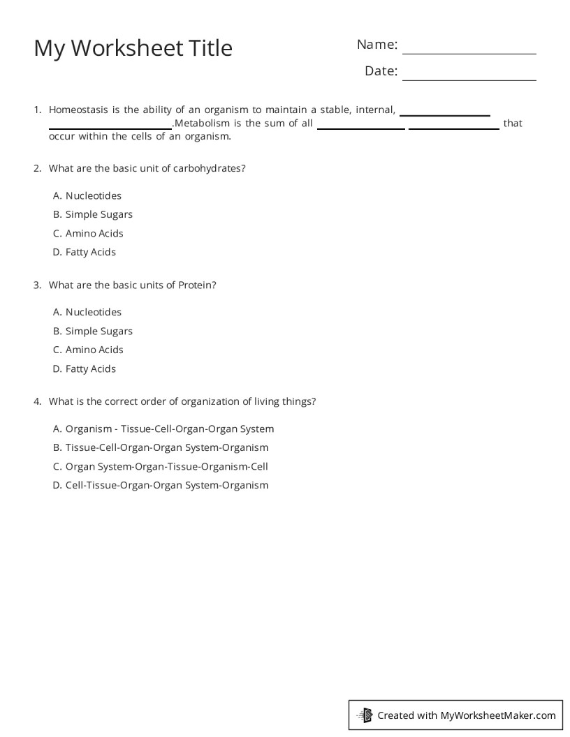 My Worksheet Maker: The Best Online Worksheet Creator