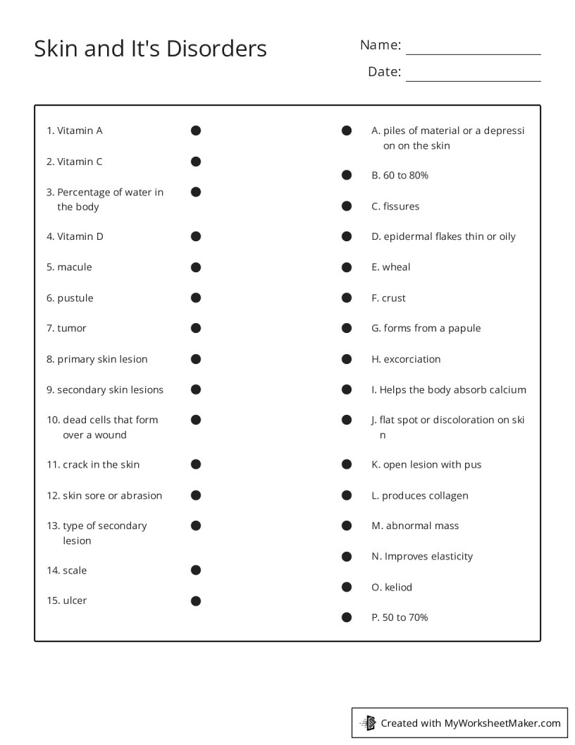 Skin and It's Disorders - My Worksheet Maker: Create Your Own Worksheets