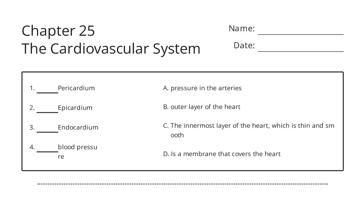Chapter 25 The Cardiovascular System - My Worksheet Maker: Create Your ...