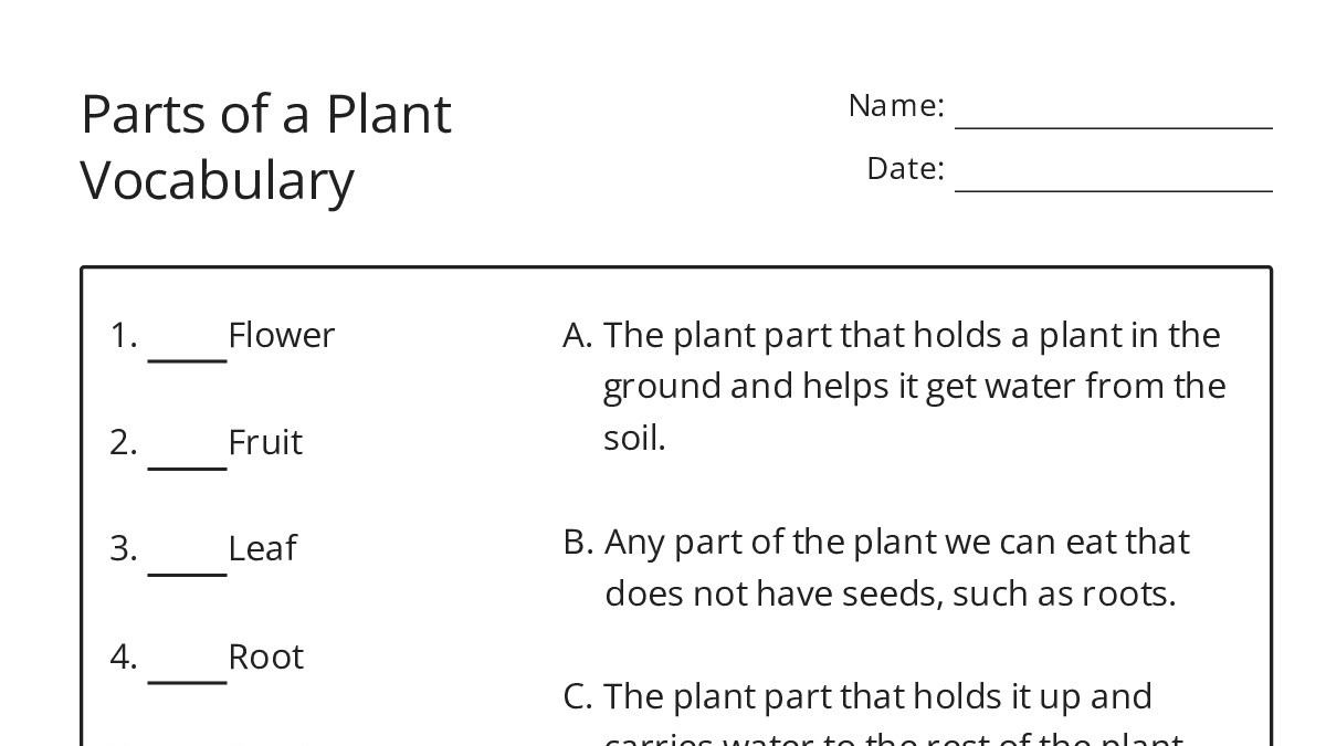 Parts of a Plant Vocabulary - My Worksheet Maker: Create Your Own ...