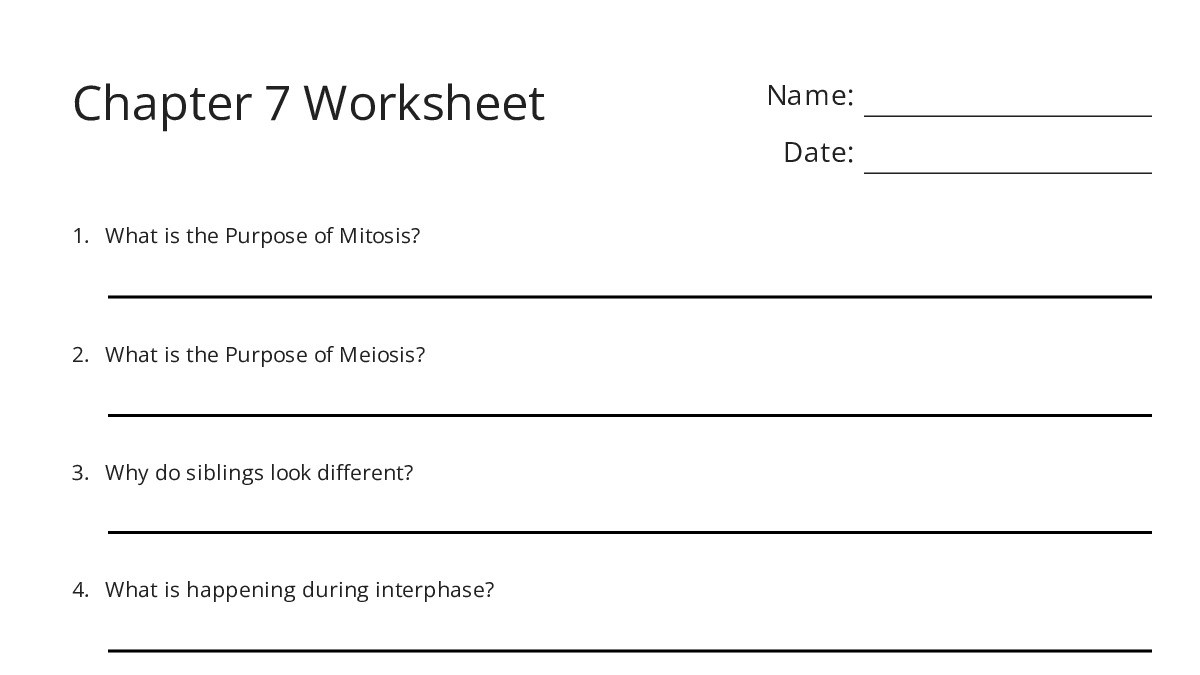 Chapter 7 Worksheet - My Worksheet Maker: Create Your Own Worksheets