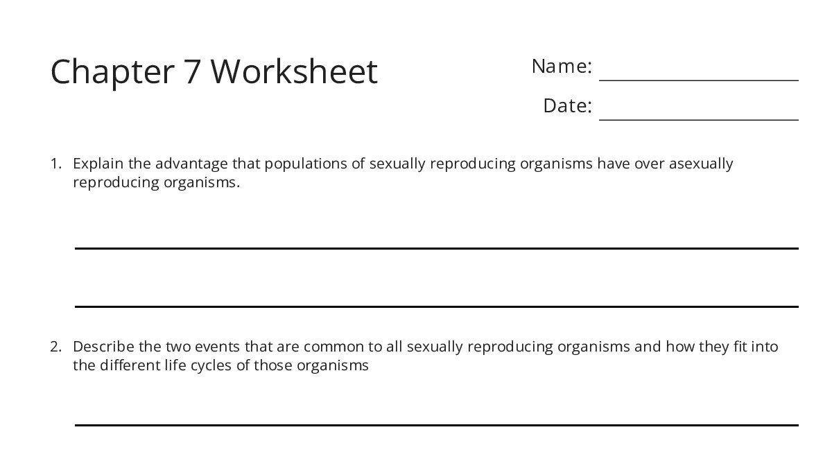 Chapter 7 Worksheet - My Worksheet Maker: Create Your Own Worksheets
