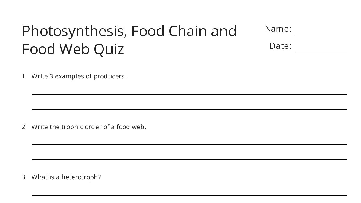 Photosynthesis, Food Chain and Food Web Quiz - My Worksheet Maker ...