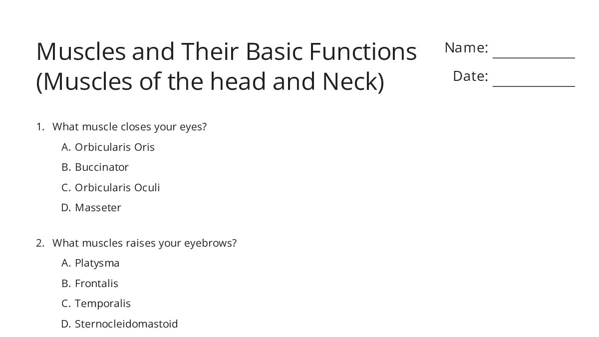 Muscles and Their Basic Functions (Muscles of the head and Neck) - My ...
