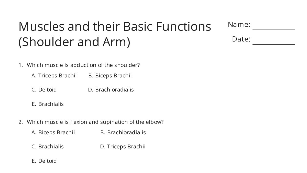 Muscles and their Basic Functions (Shoulder and Arm) - My Worksheet ...