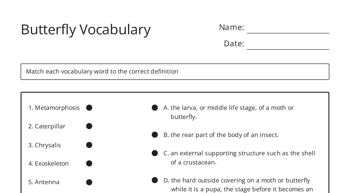 Butterfly Vocabulary - My Worksheet Maker: Create Your Own Worksheets