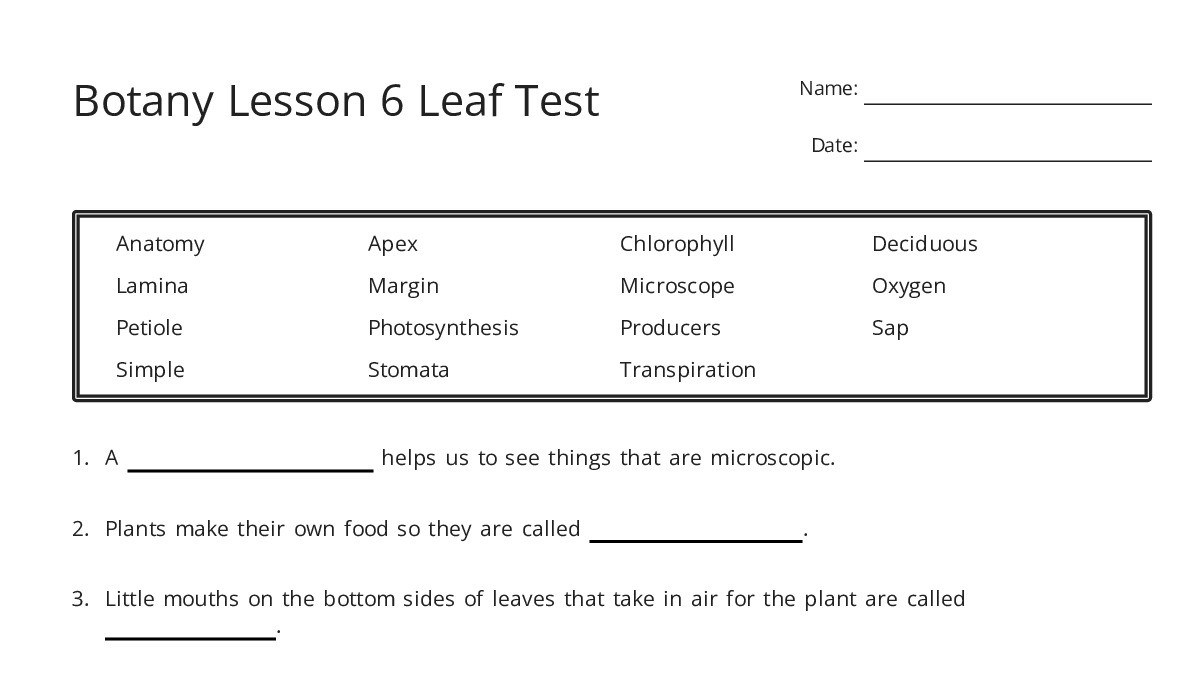 Botany Lesson 6 Leaf Test - My Worksheet Maker: Create Your Own Worksheets