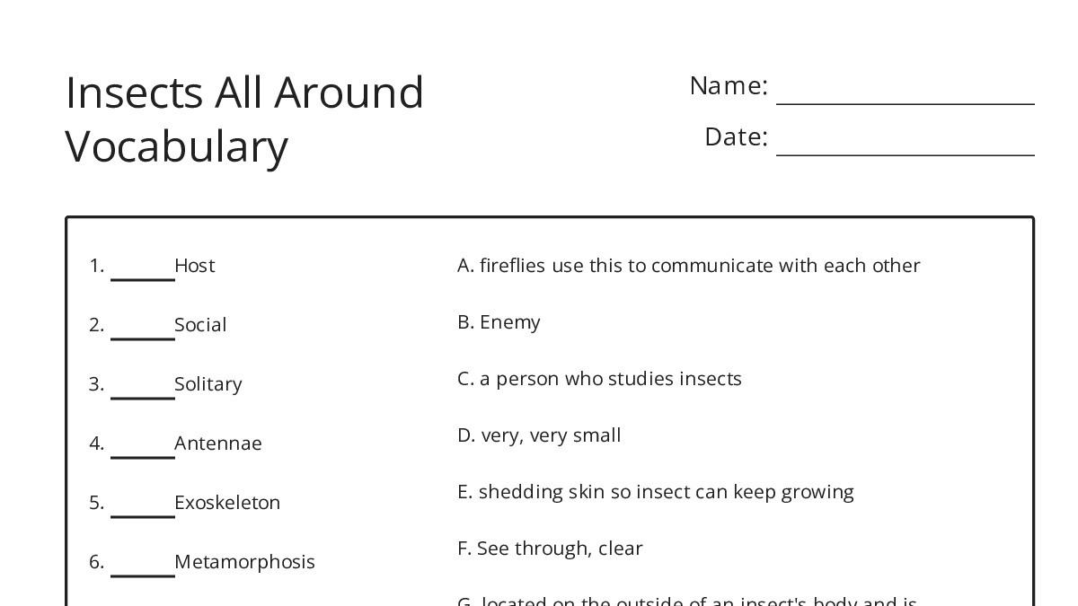 Insects All Around Vocabulary - My Worksheet Maker: Create Your Own ...