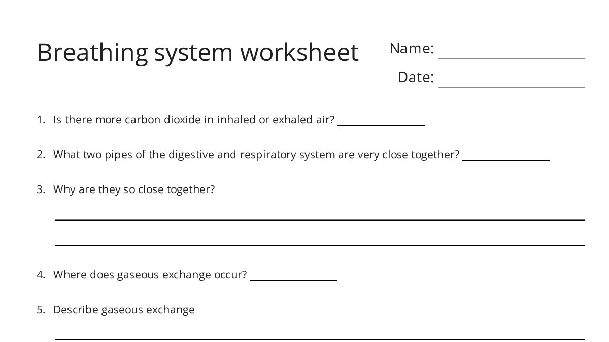 Breathing system worksheet - My Worksheet Maker: Create Your Own Worksheets