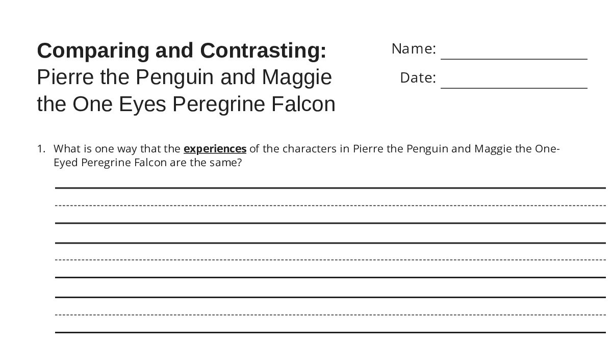 Comparing and Contrasting: Pierre the Penguin and Maggie the One Eyes ...