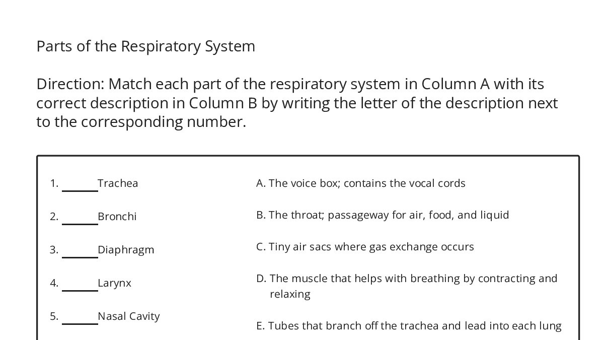 Parts of the Respiratory System Direction: Match each part of the ...