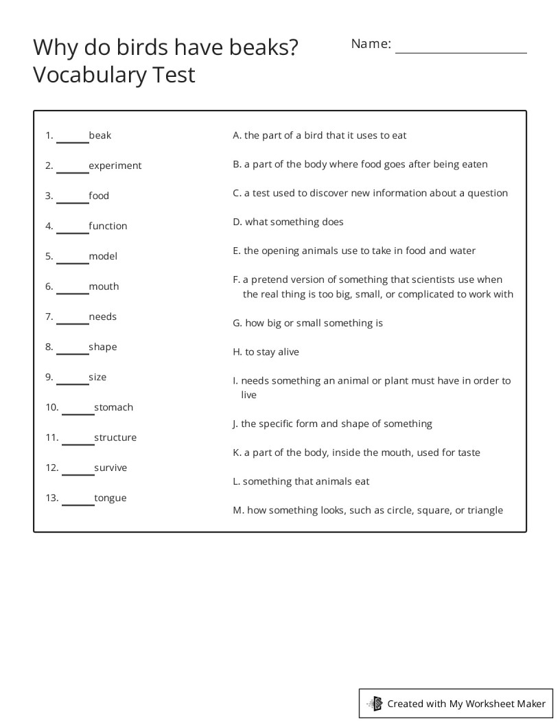 Why do birds have beaks? Vocabulary Test - My Worksheet Maker: Create ...