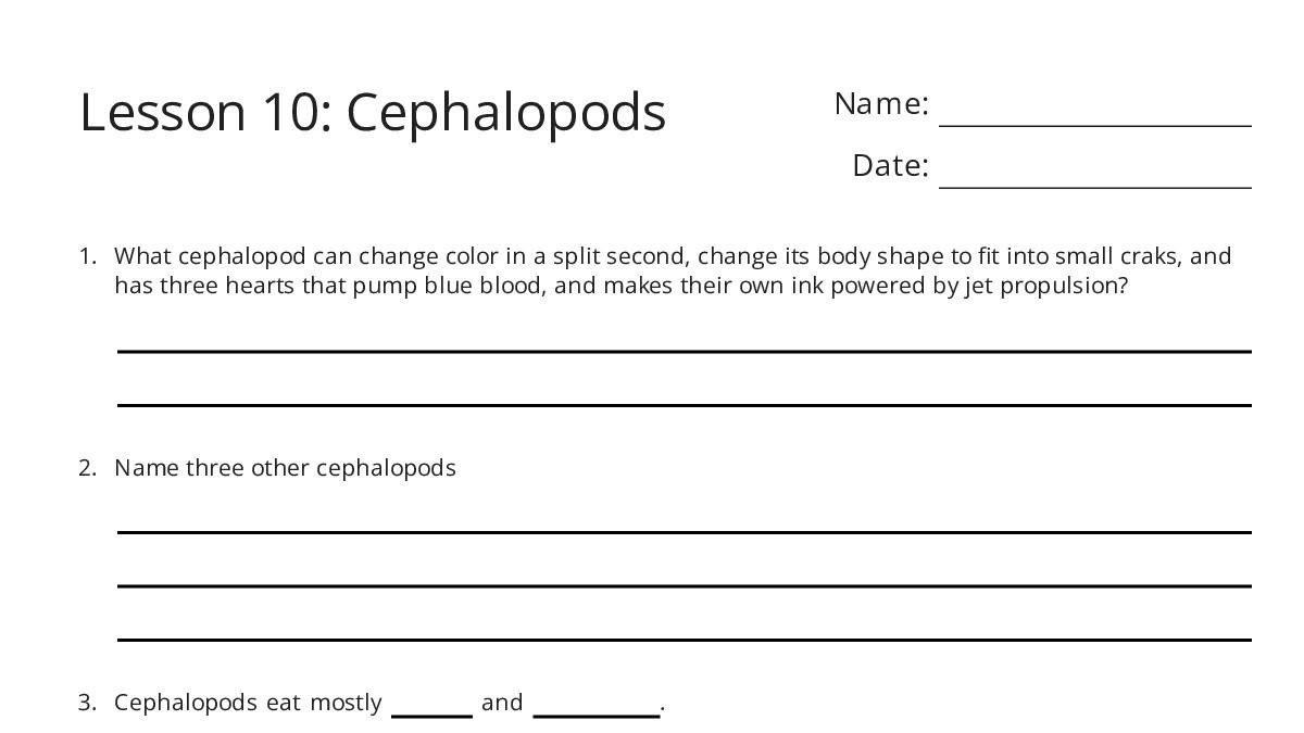 Lesson 10: Cephalopods - My Worksheet Maker: Create Your Own Worksheets