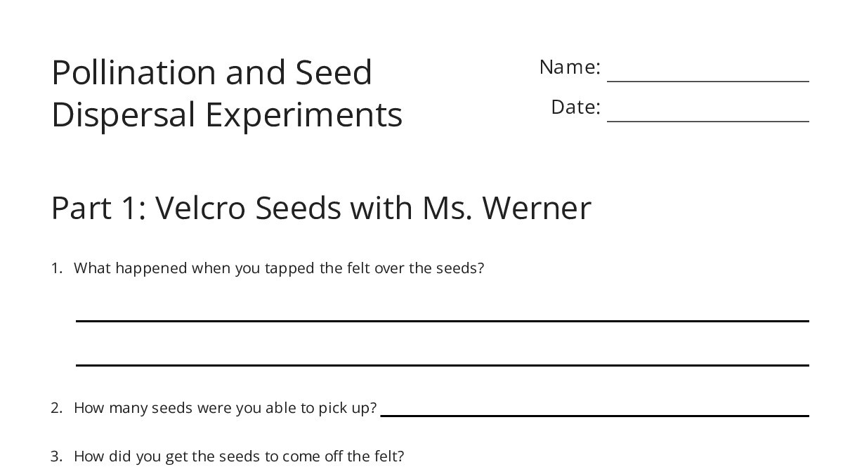 Pollination and Seed Dispersal Experiments - My Worksheet Maker: Create ...