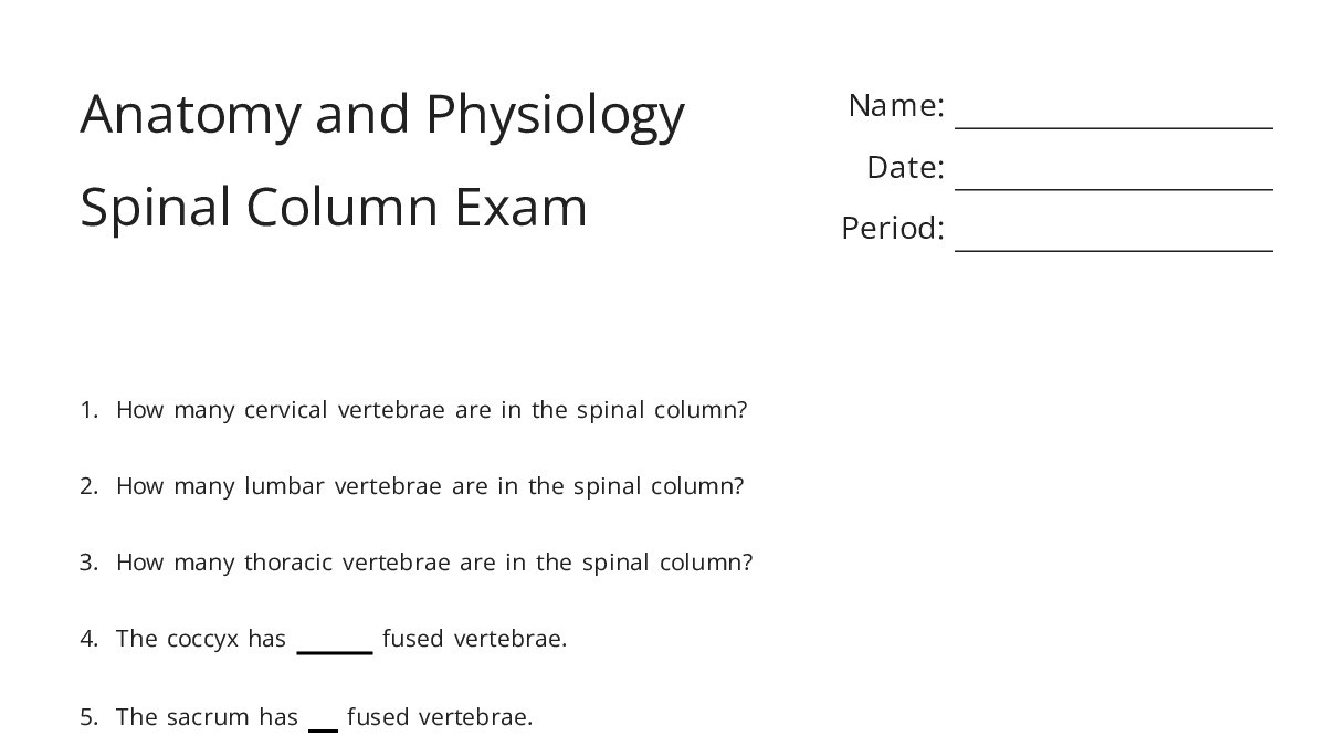 Anatomy and Physiology Spinal Column Exam - My Worksheet Maker: Create ...