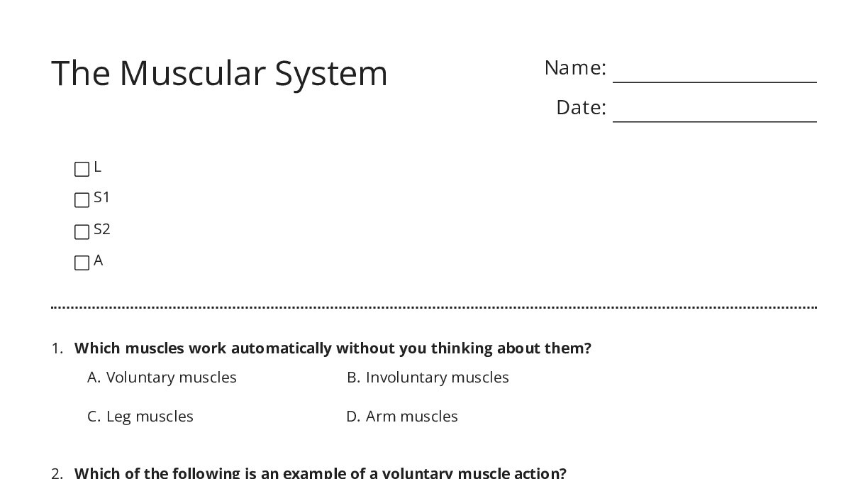 The Muscular System - My Worksheet Maker: Create Your Own Worksheets