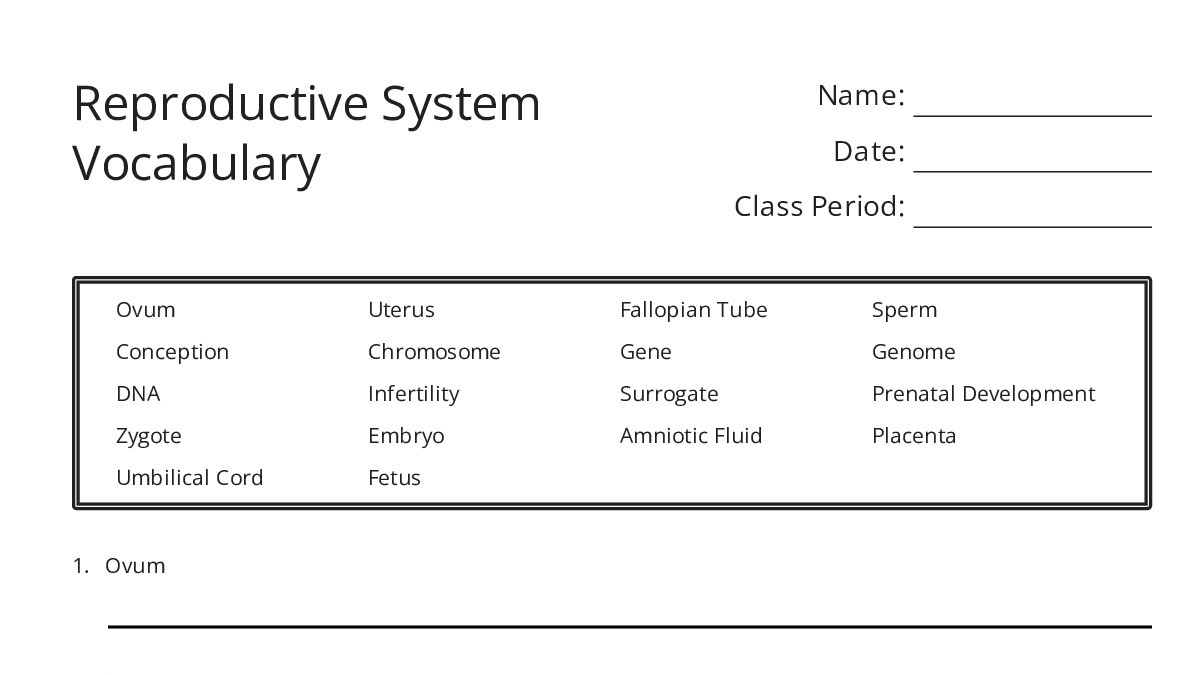 Reproductive System Vocabulary - My Worksheet Maker: Create Your Own ...