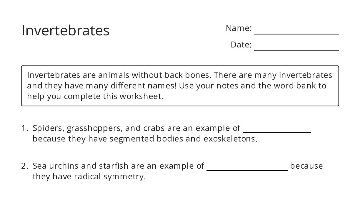 Invertebrates - My Worksheet Maker: Create Your Own Worksheets