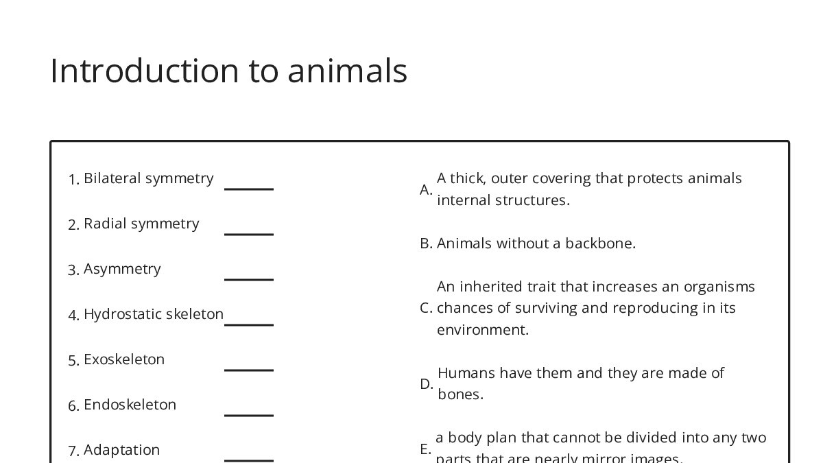 Introduction to animals - My Worksheet Maker: Create Your Own Worksheets